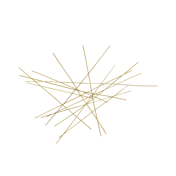 Pan Reed - Nature Squared