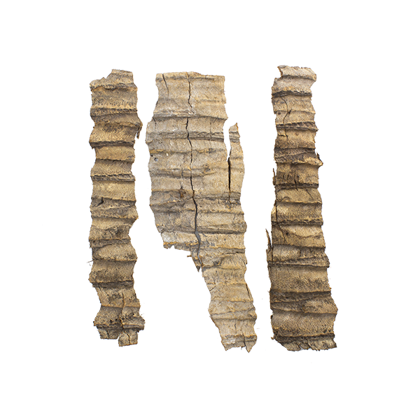 Coco Bark - Nature Squared