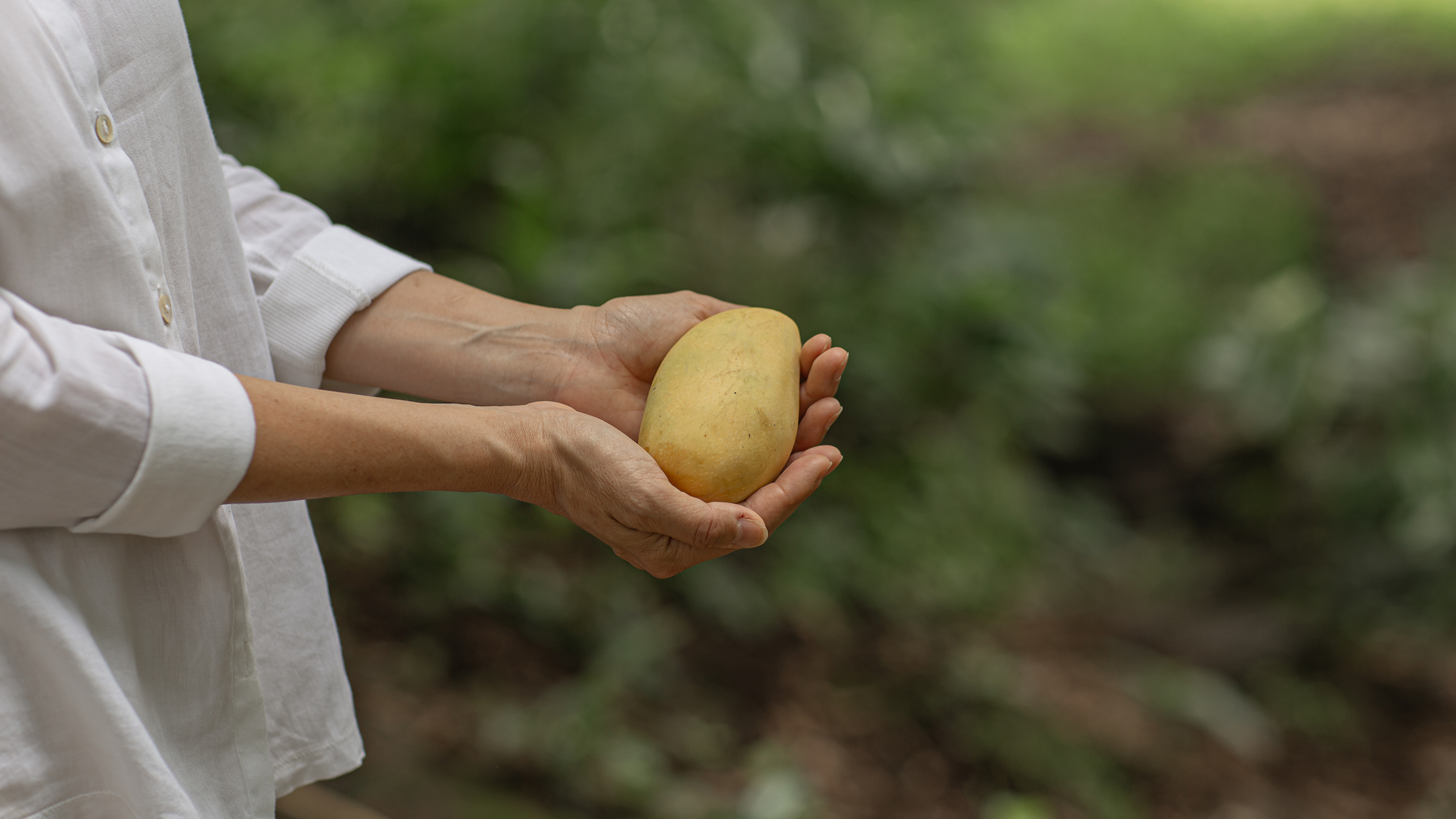 Mango - Nature Squared